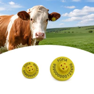 China ICAR certified cattle ear tags made with high durability materials ensuring long lasting cattle identification solutions for sale
