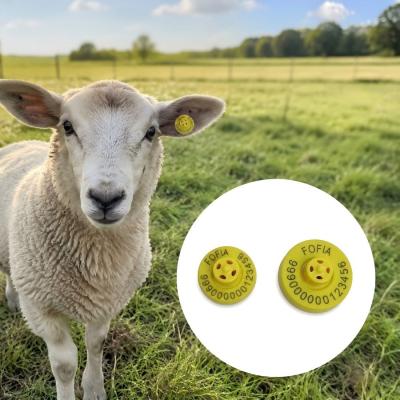 China Laser Printing Electronic Ear Tags with FDX-B Compliance Standards Ensuring Identification and Livestock Data Management for sale