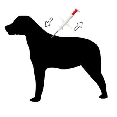 China ZS007 Ultra-Small & Lightweight Small Animal ID Tracking Kit for for Pet Identification for sale
