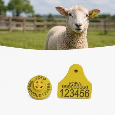 China TPU Sheep Identification Tags Frequency 134.2KHz Lightweight Ear Tags Designed for Long Lasting Livestock Identification for sale