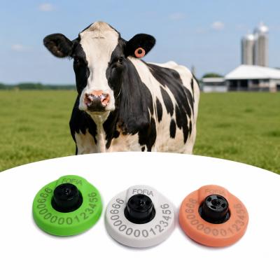 China Identification swine ear tags perfect choice for farms animal identification and inventory control for sale