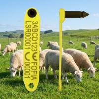 China High Performance FDX-B RFID Livestock Ear Tag for Sheep Traceability for sale