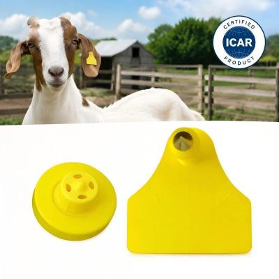 China Yellow Goat Ear Tags High Visibility Identification Tags for Sheep Pig and Goat Livestock Management for sale