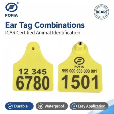 China High Quality TPU Split Medium Bull Ear Animal Tags New Condition for Animal Husbandry Industries for sale