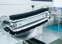 China Chili Semi Automatic Fruit Vegetable Packing Machine for sale