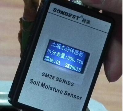 China SM2801BD RS485 display type soil moisture sensor for sale
