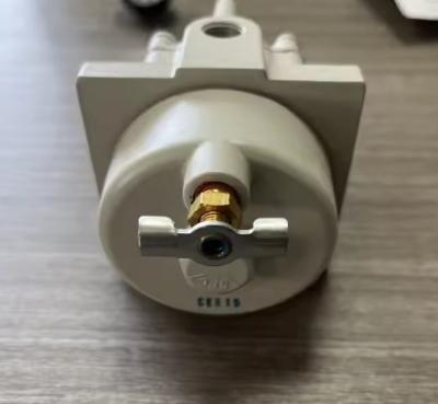 Cina Regulatore di pressione di Bellofram 960-069-000 0,25 in Port Size per esigenze personalizzate in vendita