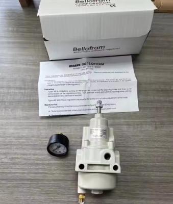 Cina Regulatore di pressione di Bellofram 960-069-000 0,25 in Port Size per esigenze personalizzate in vendita