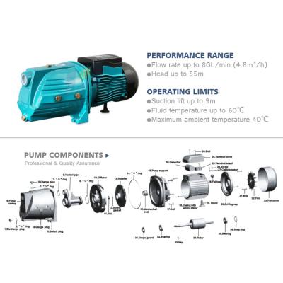 Cina 0,5 pompe idrauliche sommergibili a 1 pollici di cavalli vapore 1hp 1.5hp Jet Water Pump Arabia Saudita in vendita