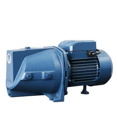 Cina 0,5 pompe idrauliche sommergibili a 1 pollici di cavalli vapore 1hp 1.5hp Jet Water Pump Arabia Saudita in vendita