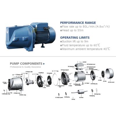 Cina 0,5 pompe idrauliche sommergibili a 1 pollici di cavalli vapore 1hp 1.5hp Jet Water Pump Arabia Saudita in vendita