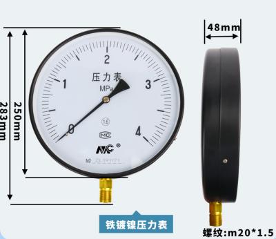 Cina Direzione della parte radiale del manometro di acciaio inossidabile di Y250BF 250mm in vendita