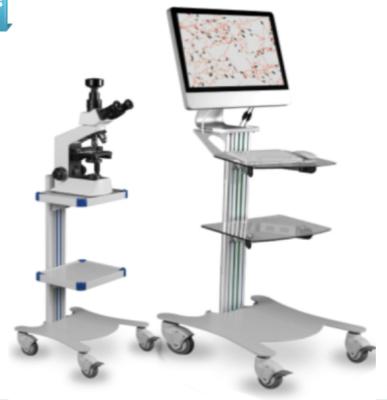 China sperm analyzer for sale