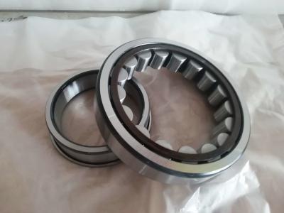 Cina Cuscinetti principali d'imballaggio NU1020 schermato doppio 100*150*24mm del rullo del tamburo di plastica in vendita