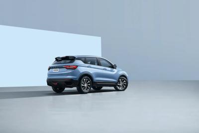 Cina 200 km/h Velocità massima Auto a benzina Geely Coolray Bin Yue L Veicolo a benzina in vendita