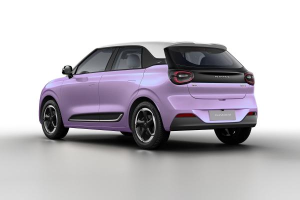 Hot-Sale 2024 Electric Cheap SUV Factory Supplier Carro Electrico Dongfeng Nami 01 New-Used/Second-Hand Electric/EV/Battery/Green EV New Energy Vehicle Car