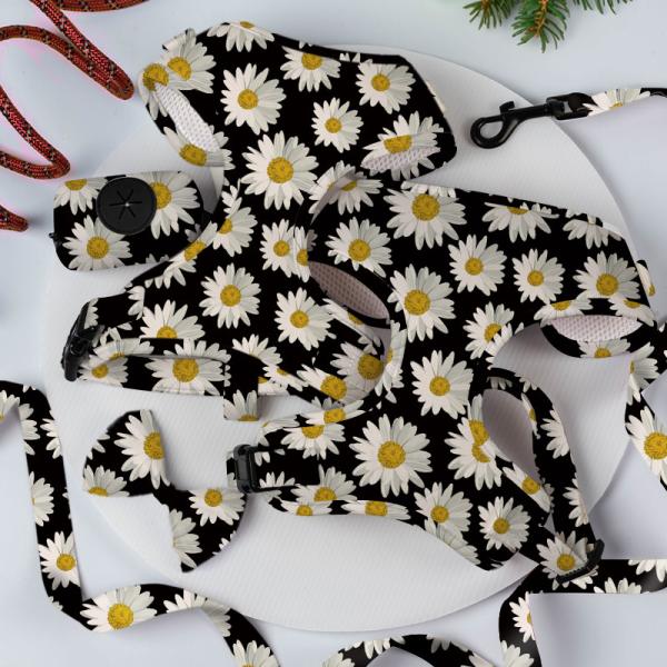 Quality Neoprene Breathable Dog Walking Kit Flora Puppy Leashes Harnesses for sale