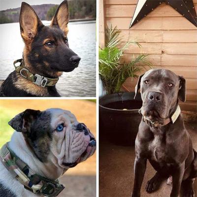 Cina Personalized Custom Luxury Designer Nylon Metal Heavy Duty Training Pet Rope Large Dog Collar e Leash Set per i K9 tattici in vendita