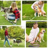 China Custom Logo Luxury Gradient Adjustable Reversible Dog Collar S M L Sizes for sale