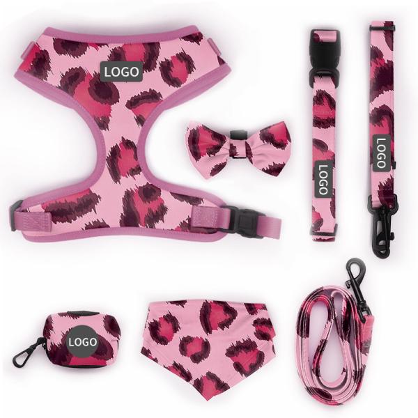 Quality Polyester Leopard Print Pet Harness Sets Logo Adjustable Collar Leash Mesh Dog for sale
