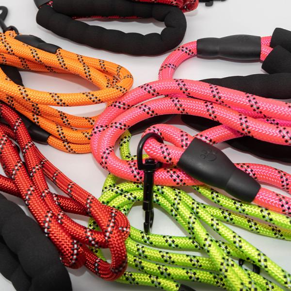 Quality Reflective Nylon Dog Leash Acceptable OEM ODM Manufacture All-Season Market for sale