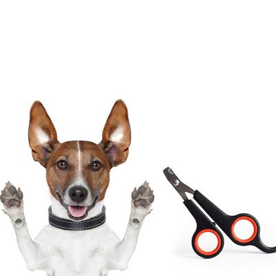 Cina Cane da compagnia Gatti Clipper per unghie Acciaio inossidabile Clipper per la cura di animali da compagnia forbici Cani cuccioli Gatti in vendita