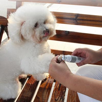 China Stil automatische kat nagel knipper USB opladen poot trimmer voor kleine dieren Te koop
