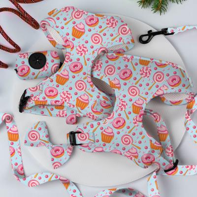 China XS S M L XL Puppy Harness And Leash Set Air Mesh Soft Neoprene Collar And Lead Set for sale