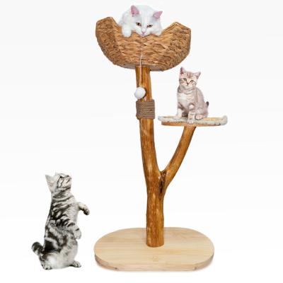 Cina Cat Tree Design Unico Legno Naturale Cat Tower Facile arrampicata Piccolo gatto in vendita