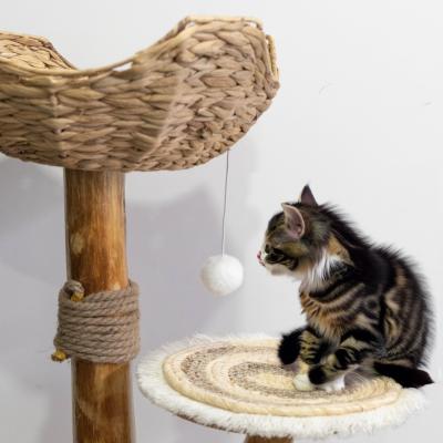 Cina Cat Tree Design Unico Legno Naturale Cat Tower Facile arrampicata Piccolo gatto in vendita