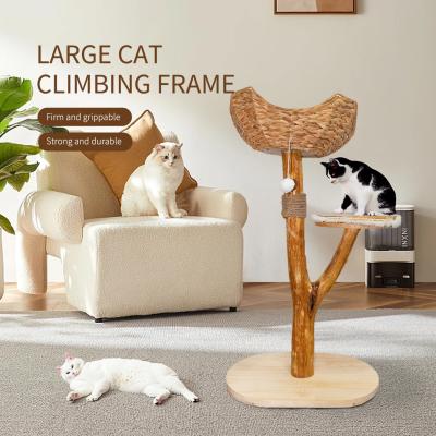 Cina Cat Tree Design Unico Legno Naturale Cat Tower Facile arrampicata Piccolo gatto in vendita