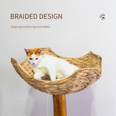 Cina Cat Tree Design Unico Legno Naturale Cat Tower Facile arrampicata Piccolo gatto in vendita