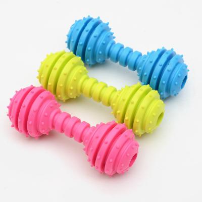 Cina Colorevole forma ossea TPR giocattolo per cani per animali adatti a tutte le stagioni Barbell Dog Chew Toy in vendita