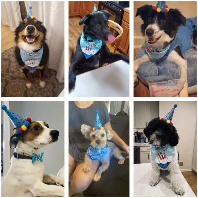 Cina Rifornimenti per il compleanno del cane Tirate il cappello della bandiera e altro Preparatevi a festeggiare in vendita