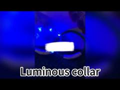 120cm Led Hond Leash Oplaadbare USB Verlicht Hond Leash Gepersonaliseerd