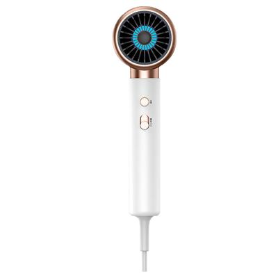 Cina Bianco 2000W Ion Negativo Luce Blu Revair Salone Professionale Asciugacapelli Rapido in vendita
