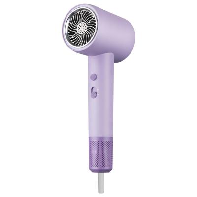 Cina Purple OEM ODM Ioni negativi Professionale Asciugacapelli Portatile a Casa a Luce Blu in vendita