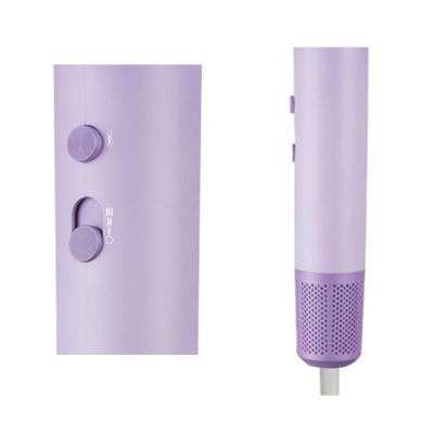 Cina Purple OEM ODM Ioni negativi Professionale Asciugacapelli Portatile a Casa a Luce Blu in vendita