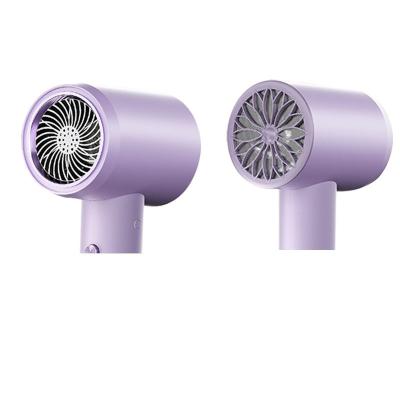 Cina Asciugatrice di capelli professionale a secca rapida a basso rumore silenziosa a ioni negativi a luce blu in vendita