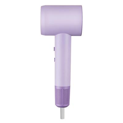 Cina Asciugatrice di capelli professionale a secca rapida a basso rumore silenziosa a ioni negativi a luce blu in vendita