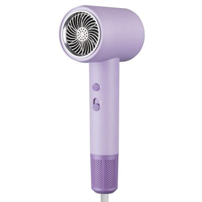 Cina Nuovo design NTC Controllo intelligente della temperatura Ion negativo Revair asciugacapelli in vendita