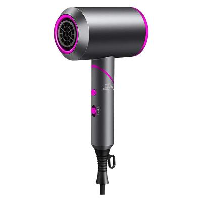 Cina Controllo della temperatura NTC Mini asciugacapelli da viaggio Previene i capelli frizzanti con accessori in vendita