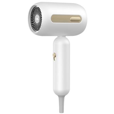Cina Asciugatrice di capelli ad alta velocità con tecnologia agli ioni blu per il controllo dell'elettricità statica in vendita
