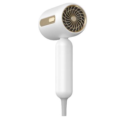 China ODM Hair Dryer with Intelligent Temperature Control and Constant Temperature for sale