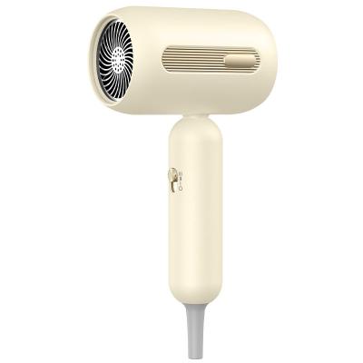 China Customizable Hair Dryer with 21000RPM Brushless DC Motor and Fast Drying Speed for sale