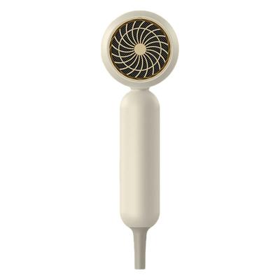 China Customizable Hair Dryer with 21000RPM Brushless DC Motor and Fast Drying Speed for sale