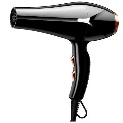China Professional Salon Portable Long Lasting AC Motor 2000W Ionic Hair Dryer for sale