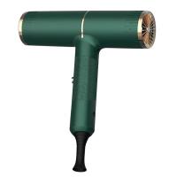 Quality Fashion Hair Dryer green Ionic Travel Blow Dryer Low Noise High Speed for sale