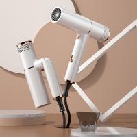 China Green Ionic Styling Tool Foldable Blow Dryer With Cool Shot Button for sale