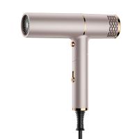 China Green Ionic Styling Tool Foldable Blow Dryer With Cool Shot Button for sale